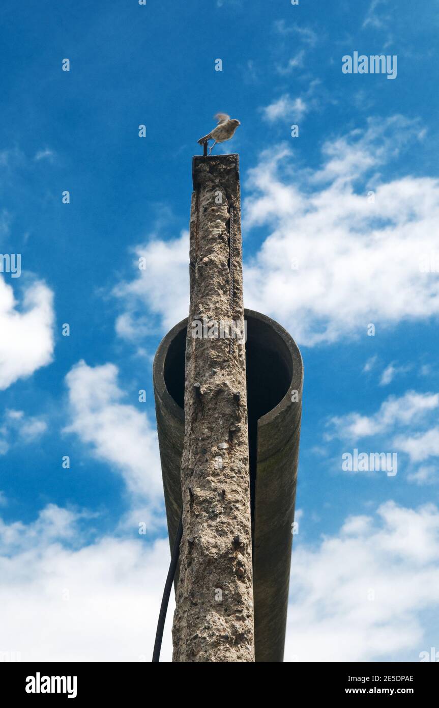 Bird flies over remains of the Berlin Wall. Berlin, Germany Stock Photo ...