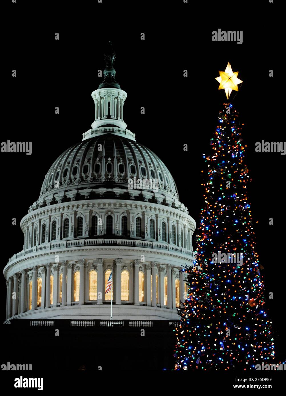 70 foot tall tree hi-res stock photography and images - Alamy