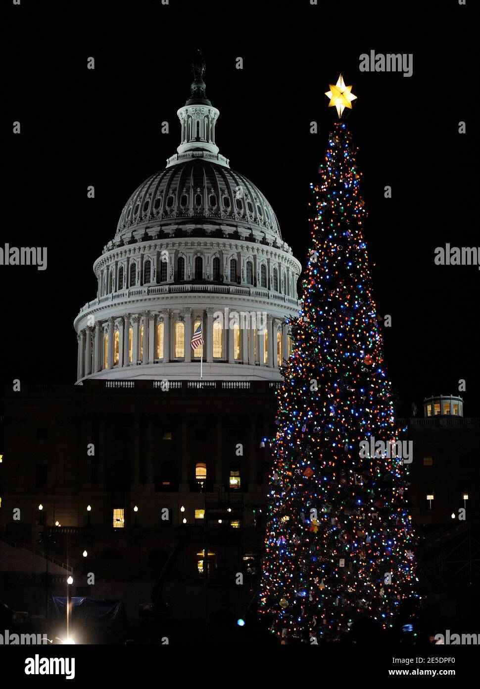 70 foot tall tree hi-res stock photography and images - Alamy