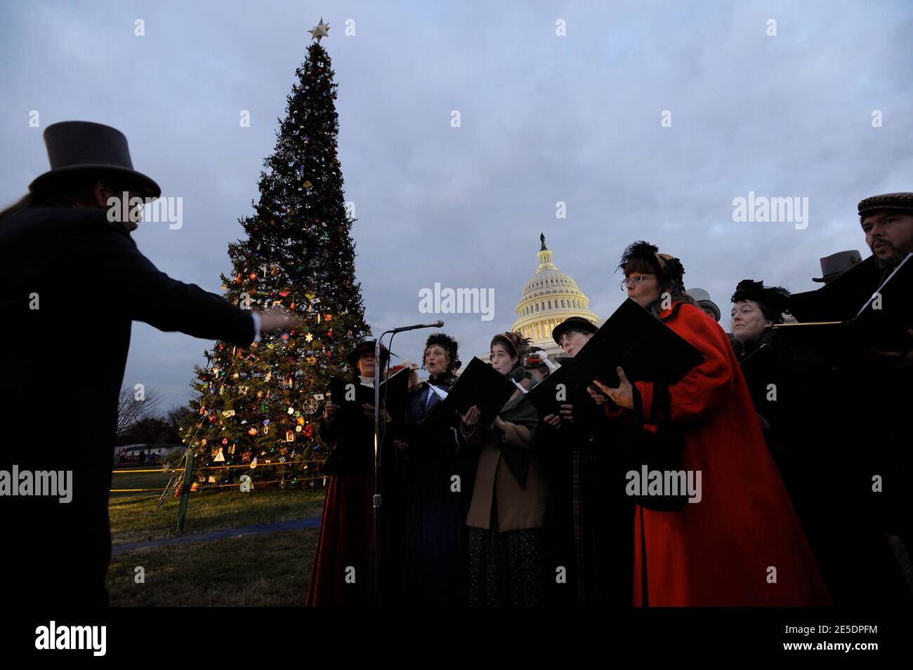 70 foot tall tree hi-res stock photography and images - Alamy