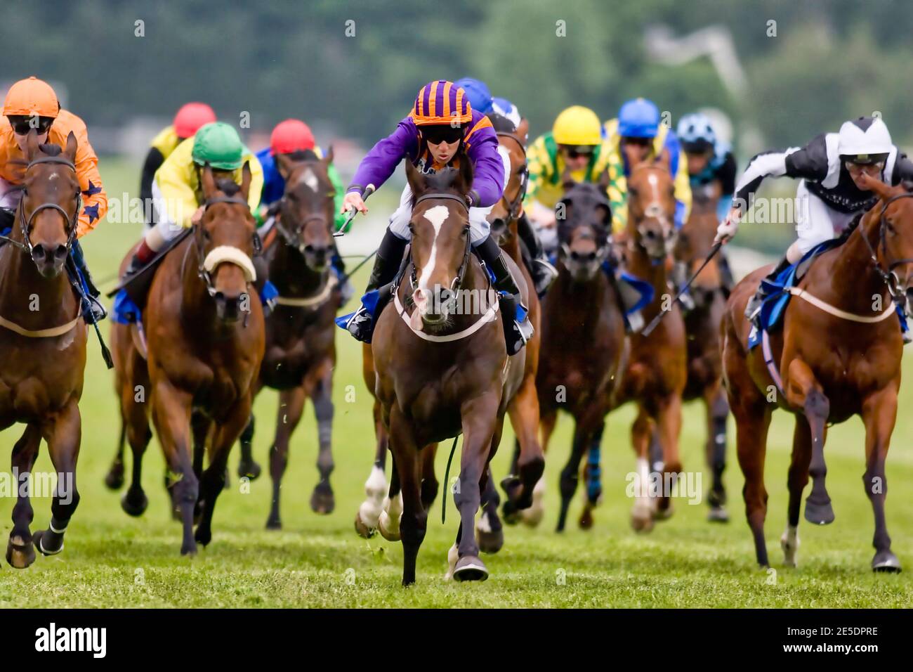 Jockeys reigns hi-res stock photography and images - Alamy