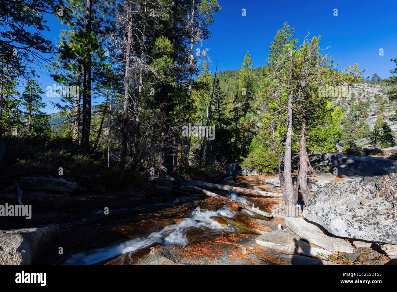 Sunny view of the Horsetail Fall Trail at Lake Tahoe, Nevada, USA Stock ...