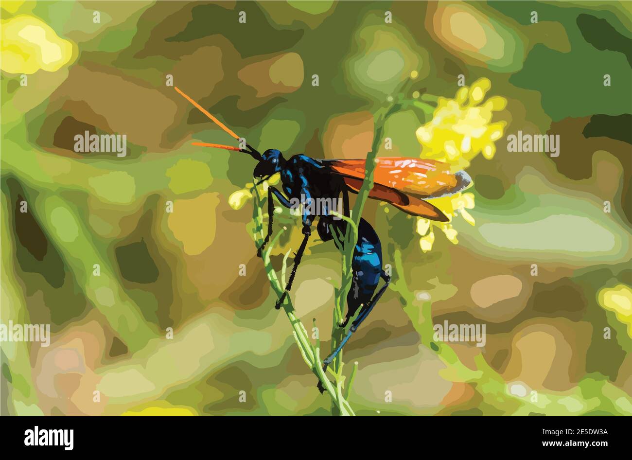 Tarantula Hawk Wasp On Flower Colour Illustration. Blue coloured wap ...