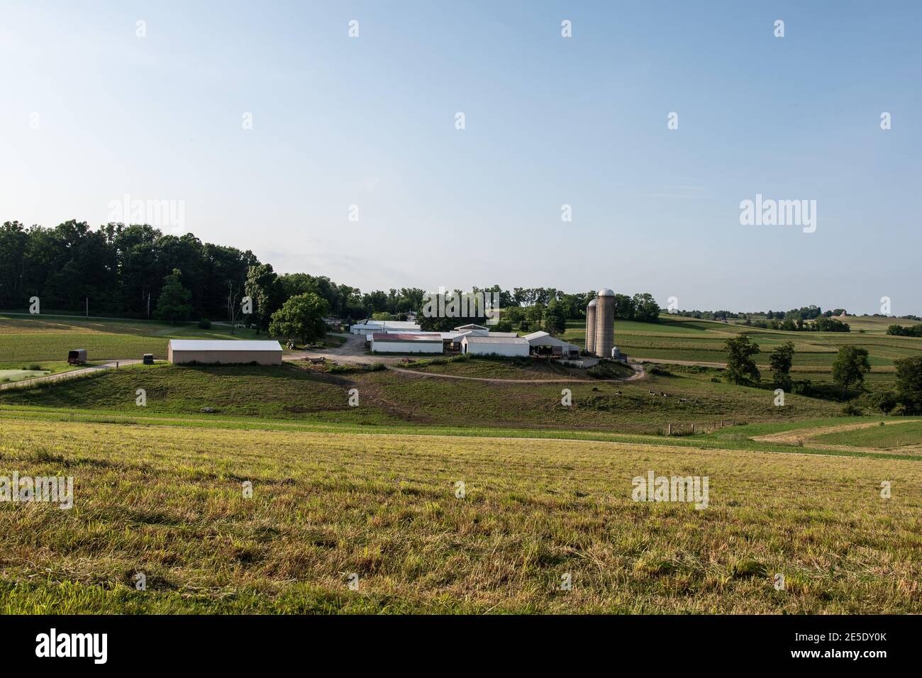 Agricultural landscape of a small family-owned dairy farm in rural ...