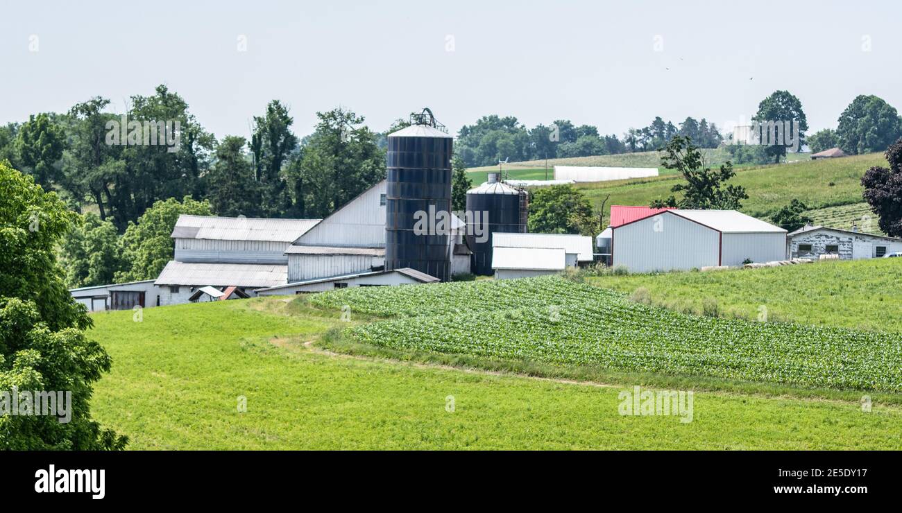 Scenic corn fields hi-res stock photography and images - Alamy