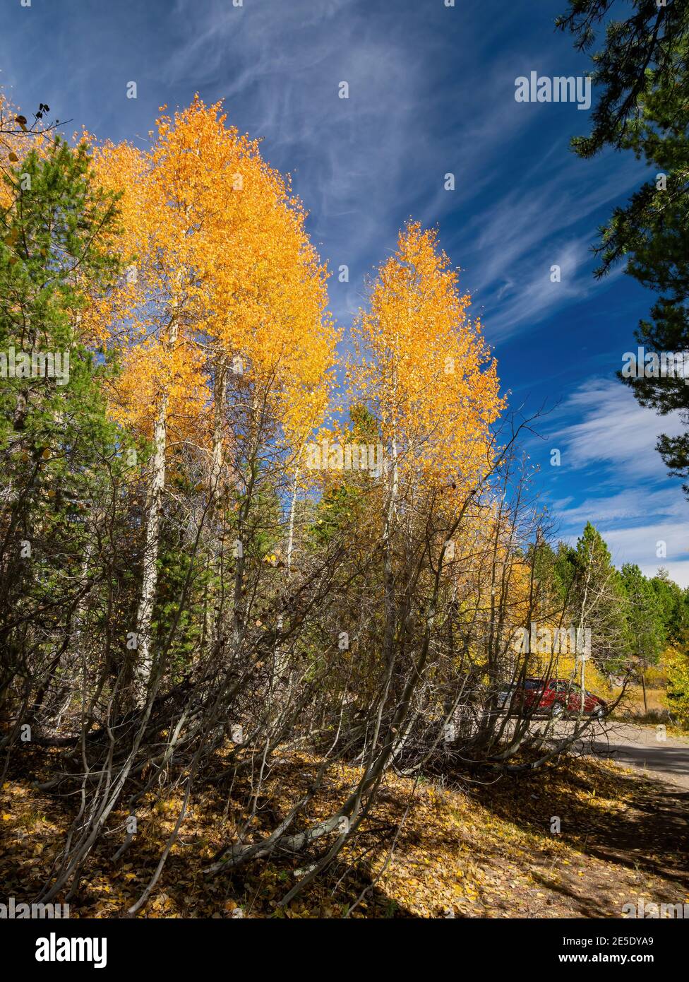 Sunny view with beautiful fall color along the Hope Valley in Lake ...