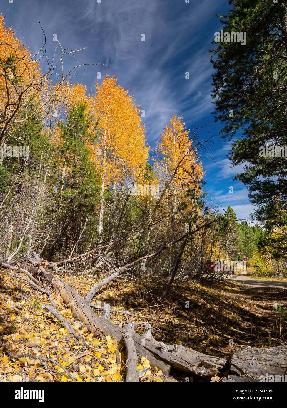 Sunny view with beautiful fall color along the Hope Valley in Lake ...