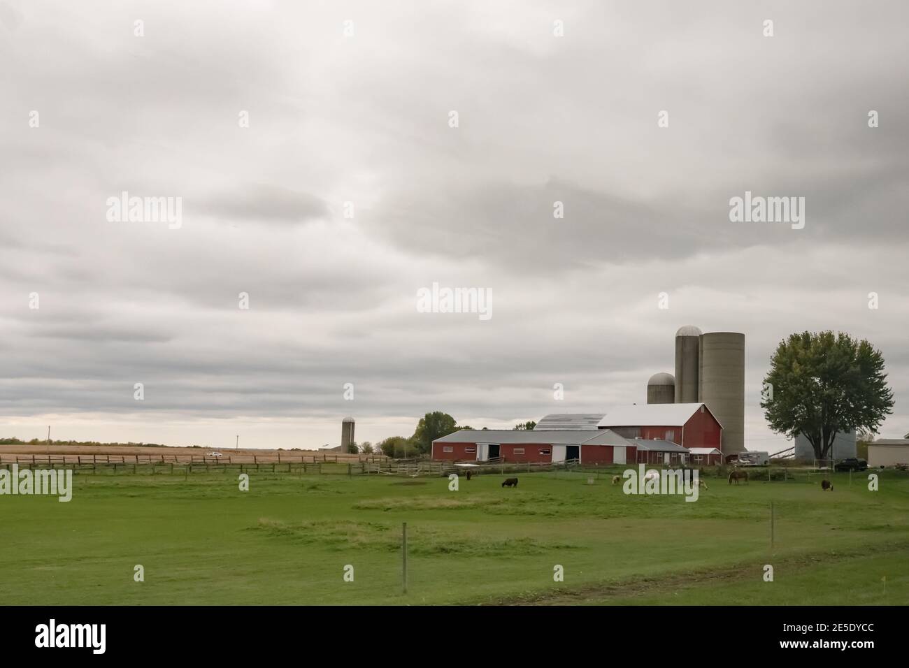 Agricultural background of a dairy farm in Wisconsin Stock Photo - Alamy