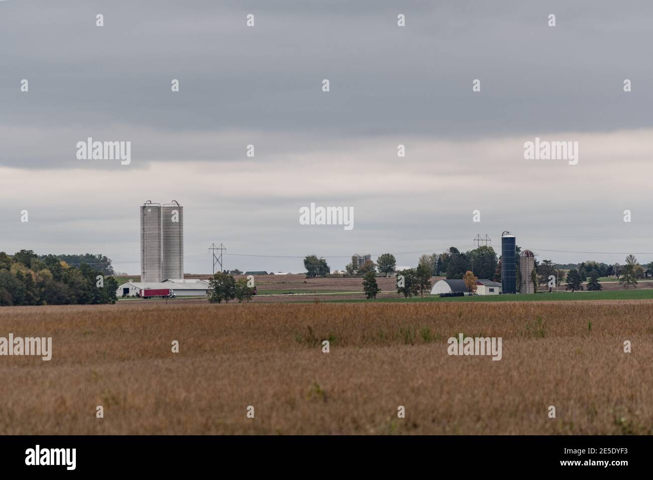 Agricultural background of dairy farms in October in Wisconsin Stock ...