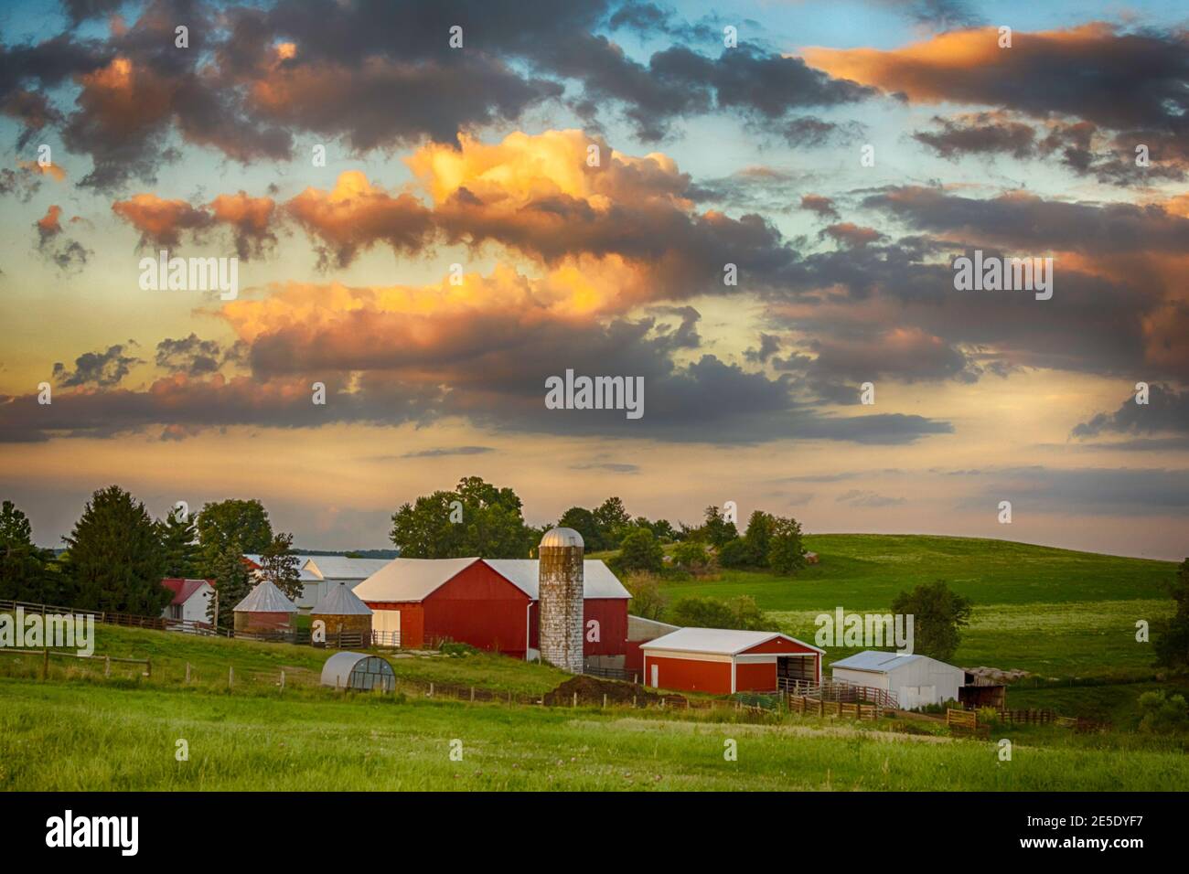 Sunset on a traditional dairy farm in rural Ohio in July Stock Photo ...