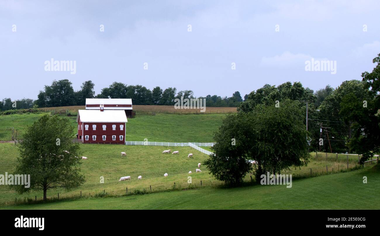 Landscape featuring red barn and cattle in rural Ohio Stock Photo - Alamy