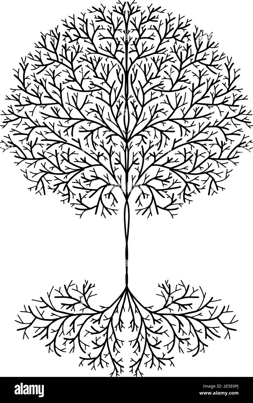 Tree of Life Hand Drawn Design Vector Stock Vector Image & Art - Alamy