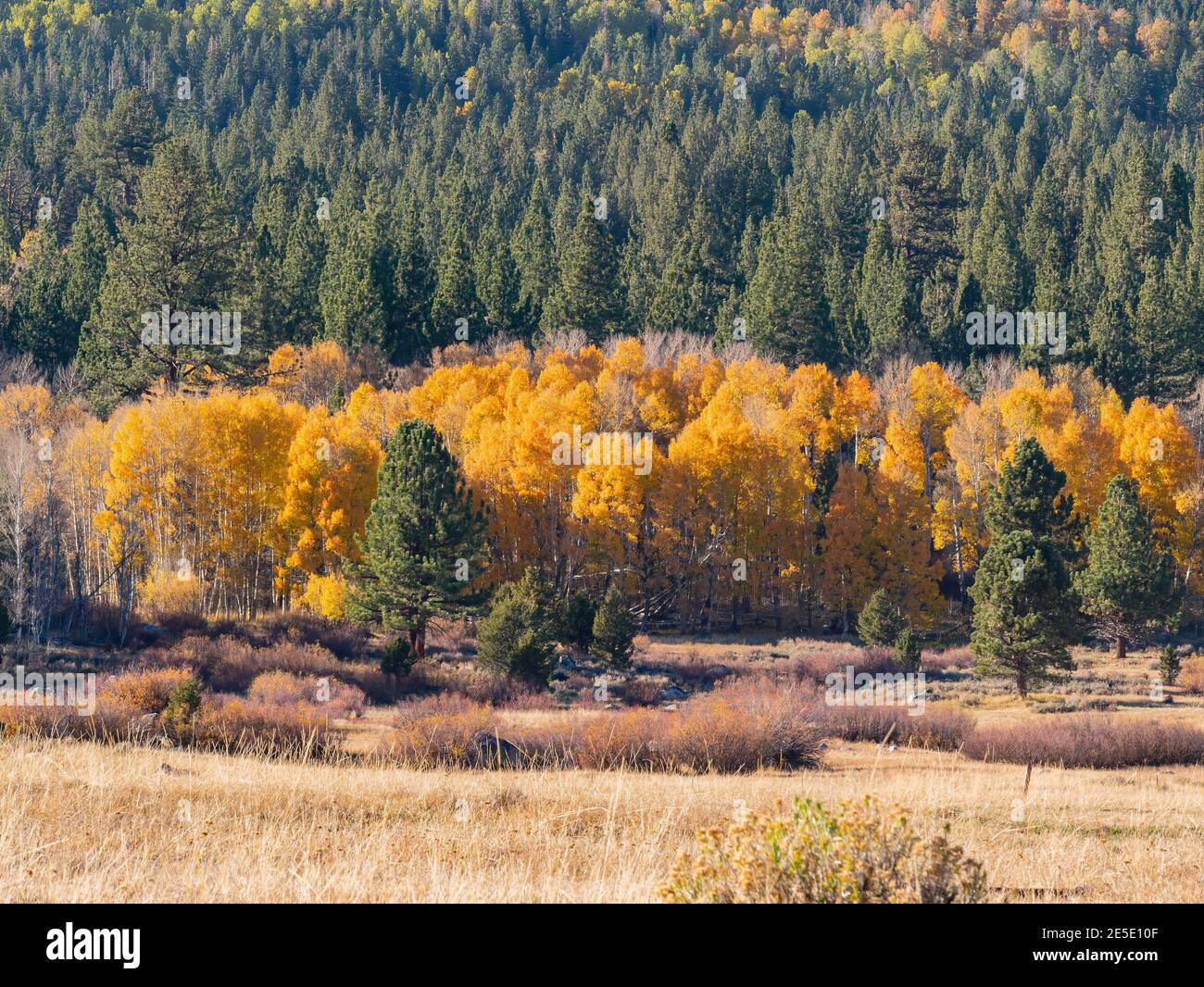 Sunny view with beautiful fall color along the Hope Valley in Lake ...