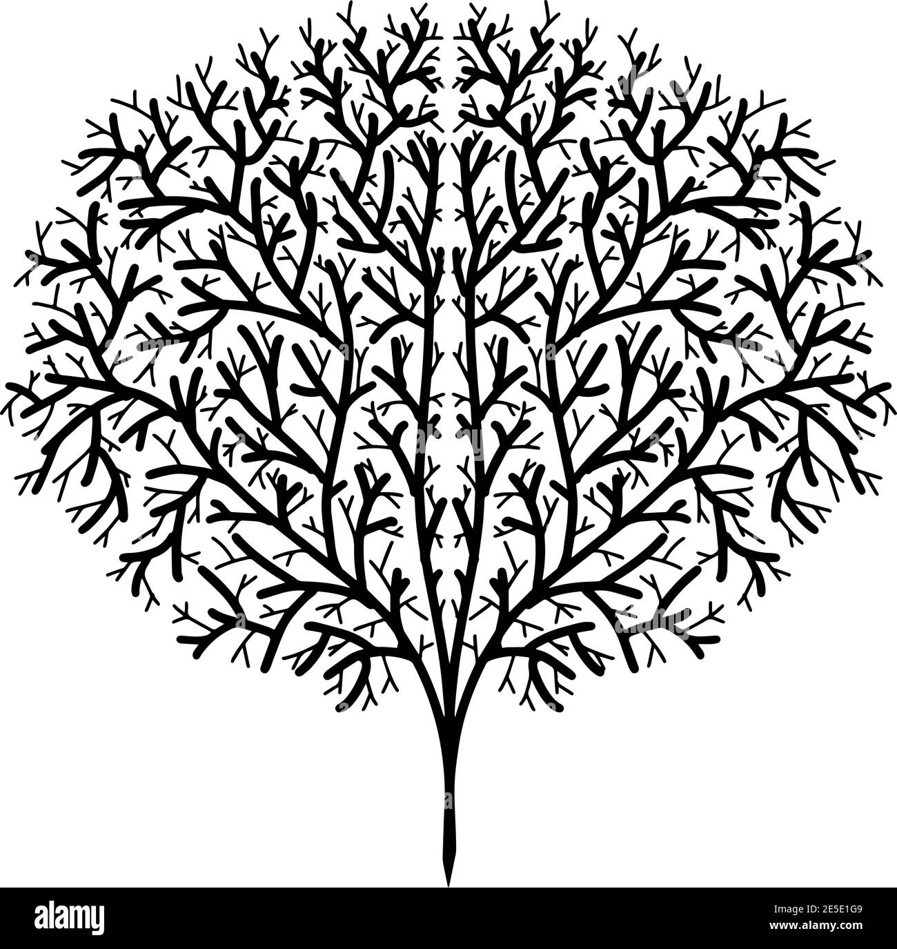 Tree of Life Hand Drawn Design Vector Stock Vector Image & Art - Alamy