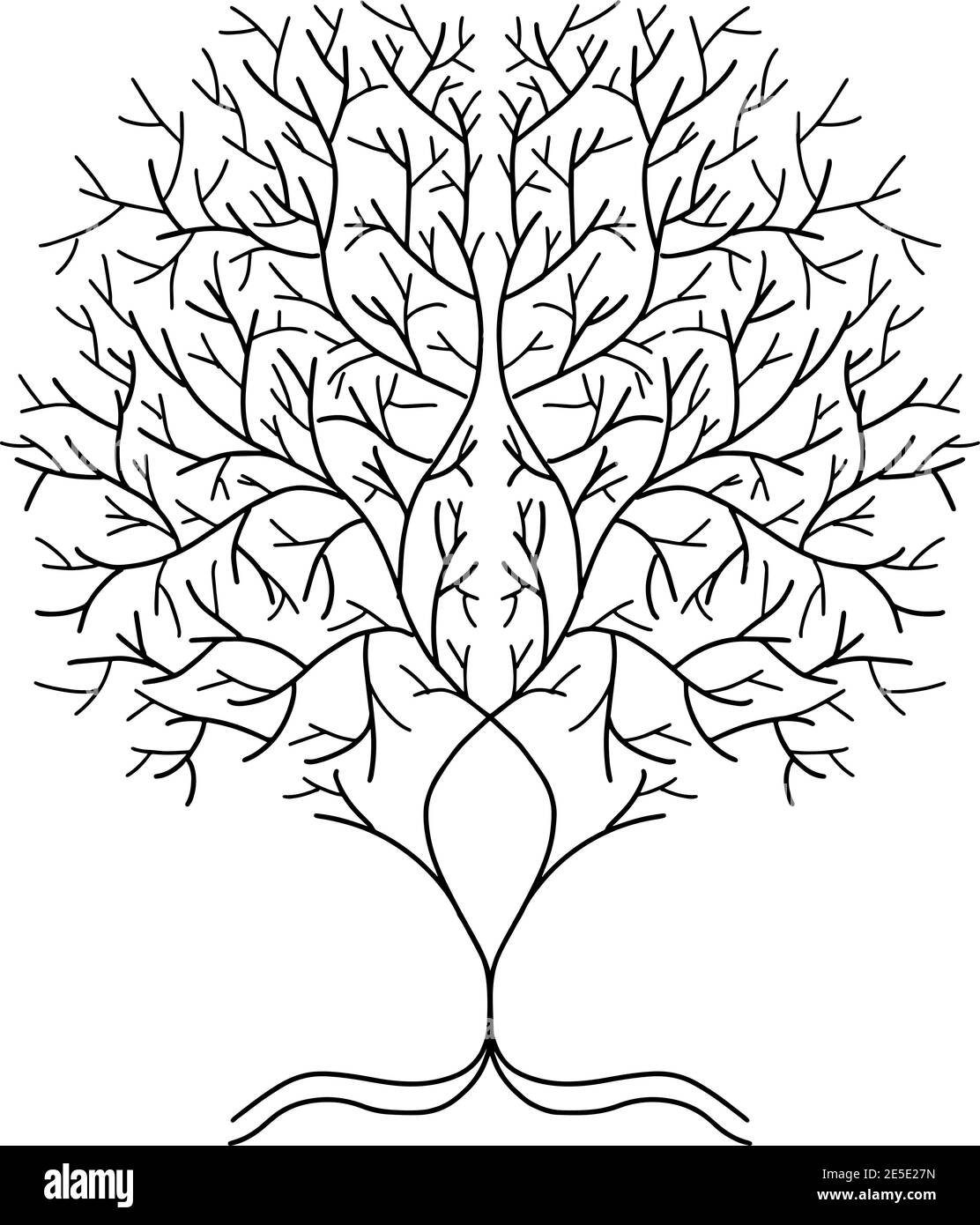 Tree of Life Hand Drawn Design Vector Stock Vector Image & Art - Alamy