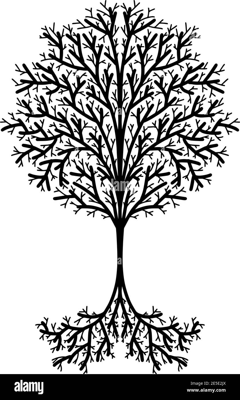 Tree of Life Hand Drawn Design Vector Stock Vector Image & Art - Alamy