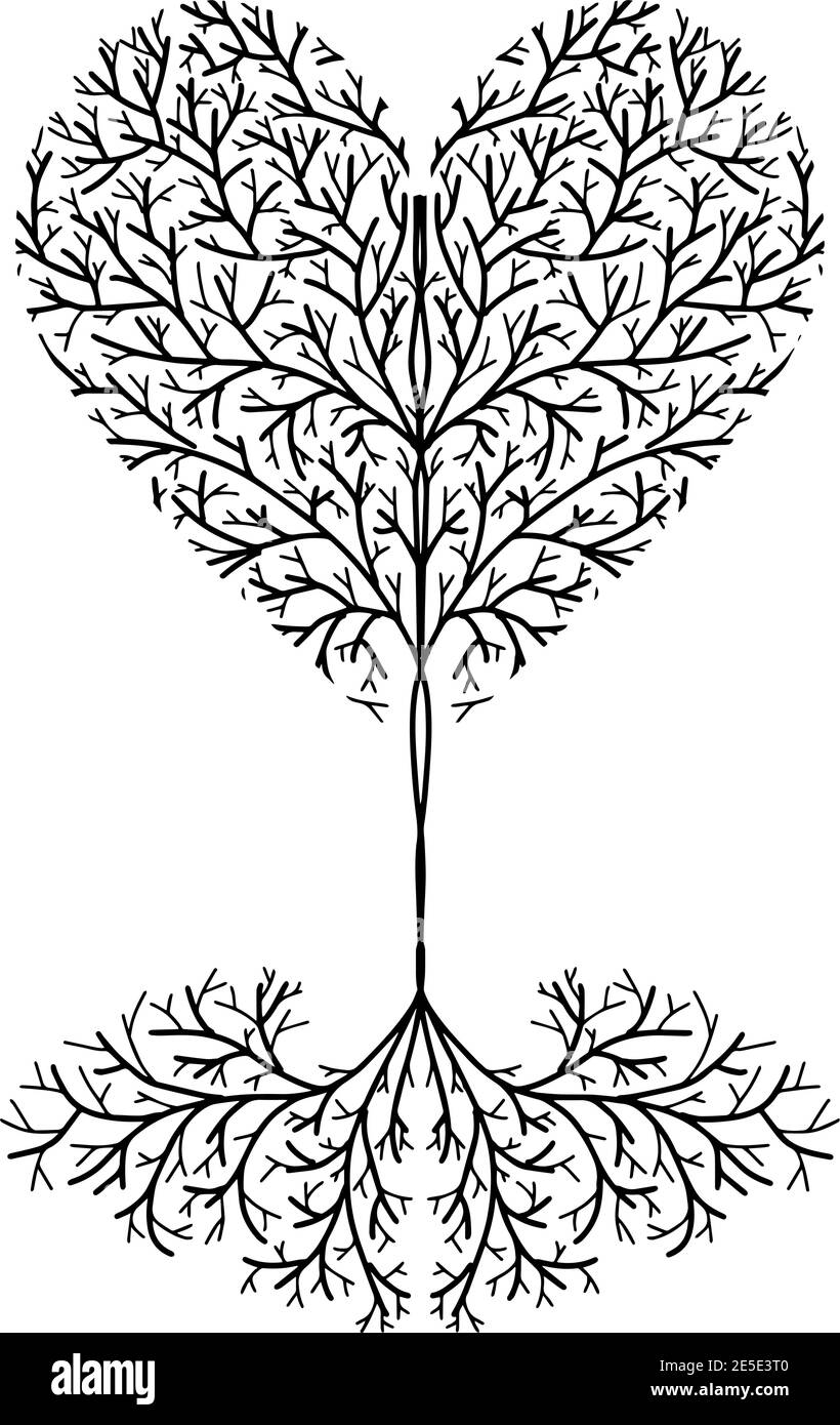 Tree of Life Hand Drawn Design Vector Stock Vector Image & Art - Alamy