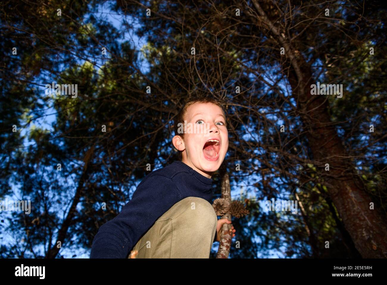 Scared tree child hi-res stock photography and images - Alamy