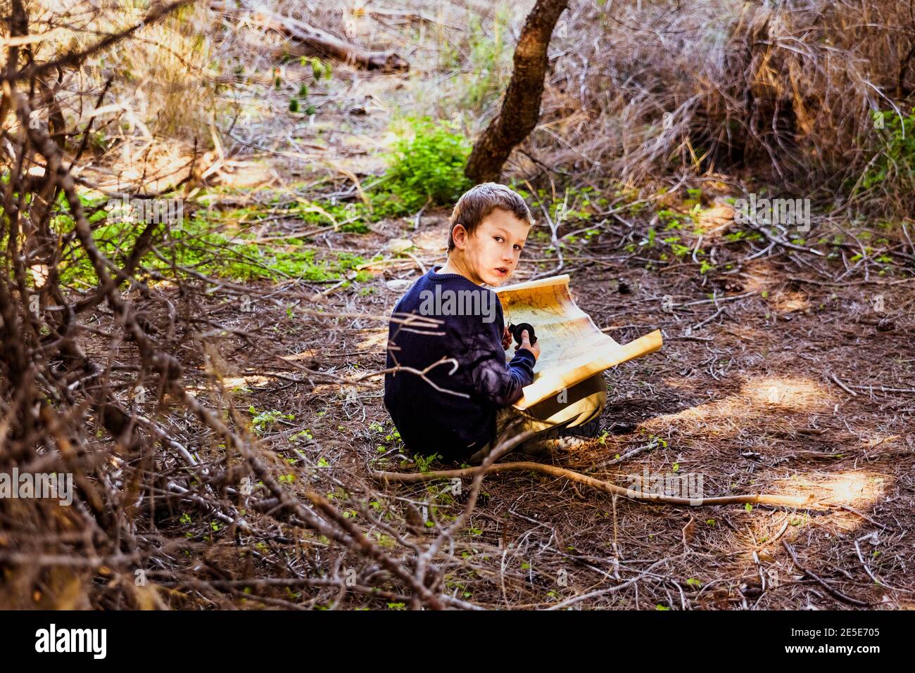 A clever boy searches an ancient map for something buried in a forest ...