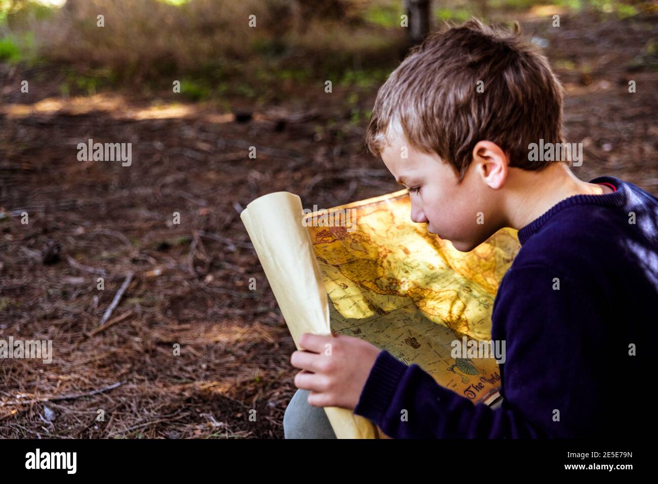 A clever boy searches an ancient map for something buried in a forest ...