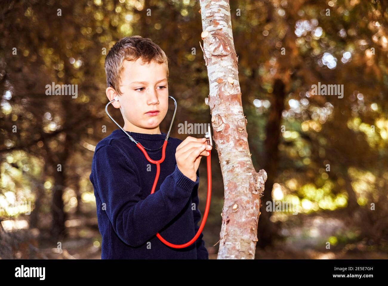 An intelligent child examines the health of a tree using a stethoscope ...