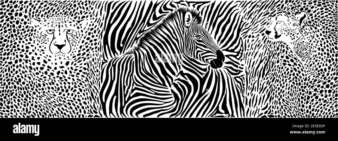 Animals background - pattern with zebra and cheetahs motif Stock Vector ...