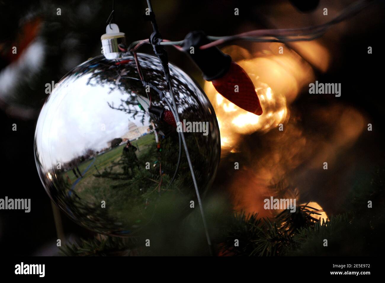 70 foot tall tree hi-res stock photography and images - Alamy