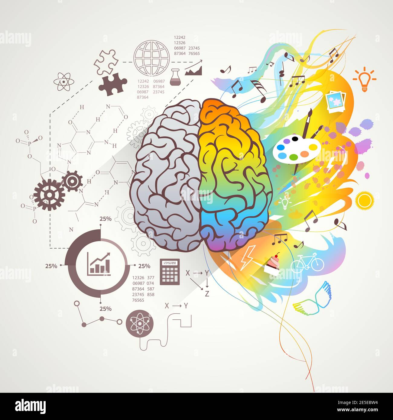 Left and right brain concept with colors music and science flat vector ...