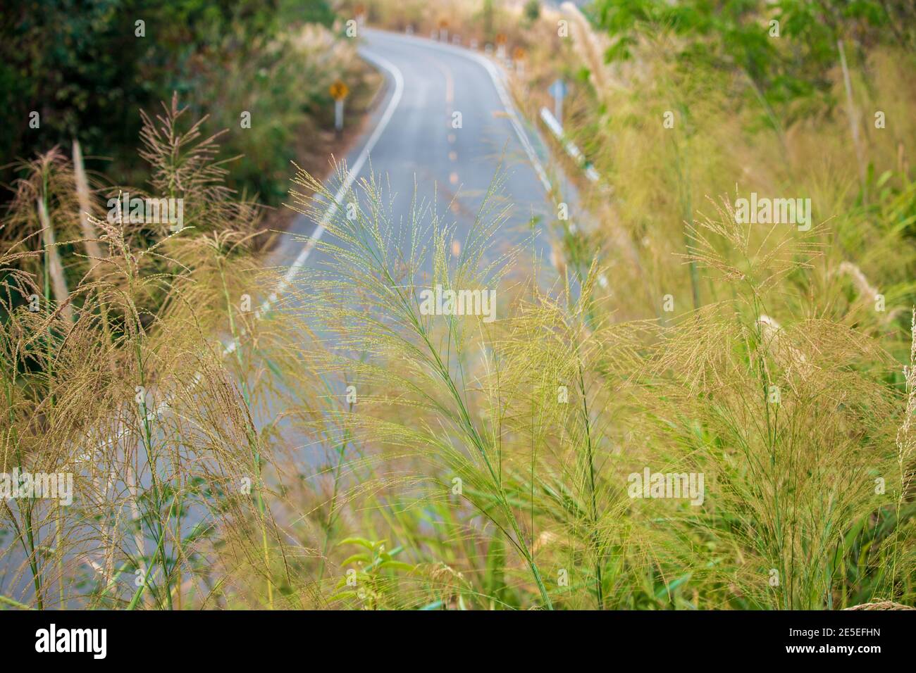 Roads in the mountains, Represents travel Very difficult Stock Photo ...