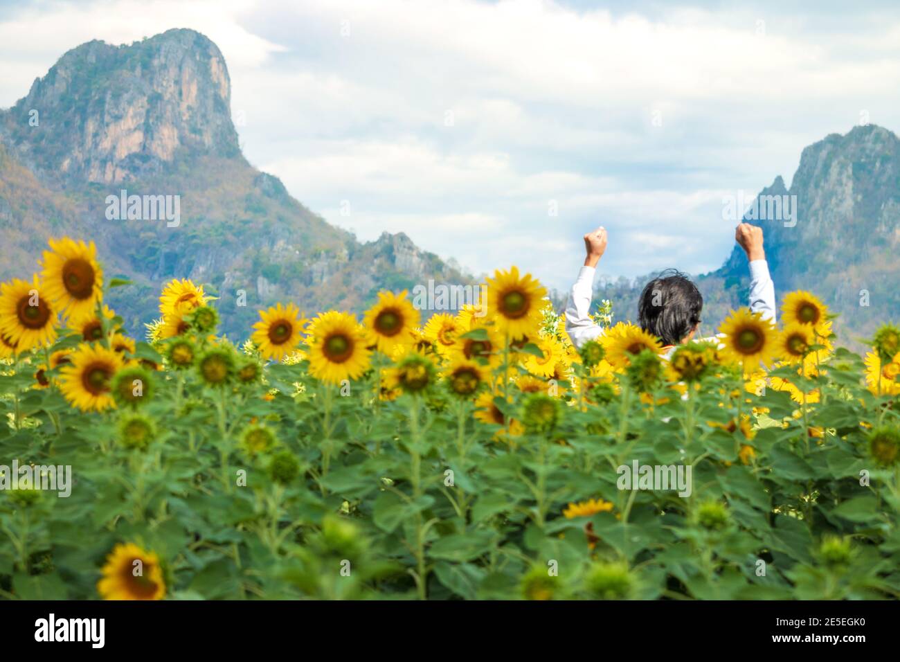Feeling happy, Man holding arms in sunflower fields Stock Photo - Alamy