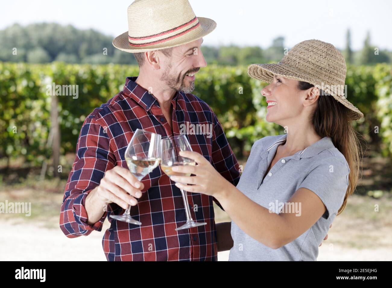 people sampling and tasting wines in vineyard Stock Photo - Alamy