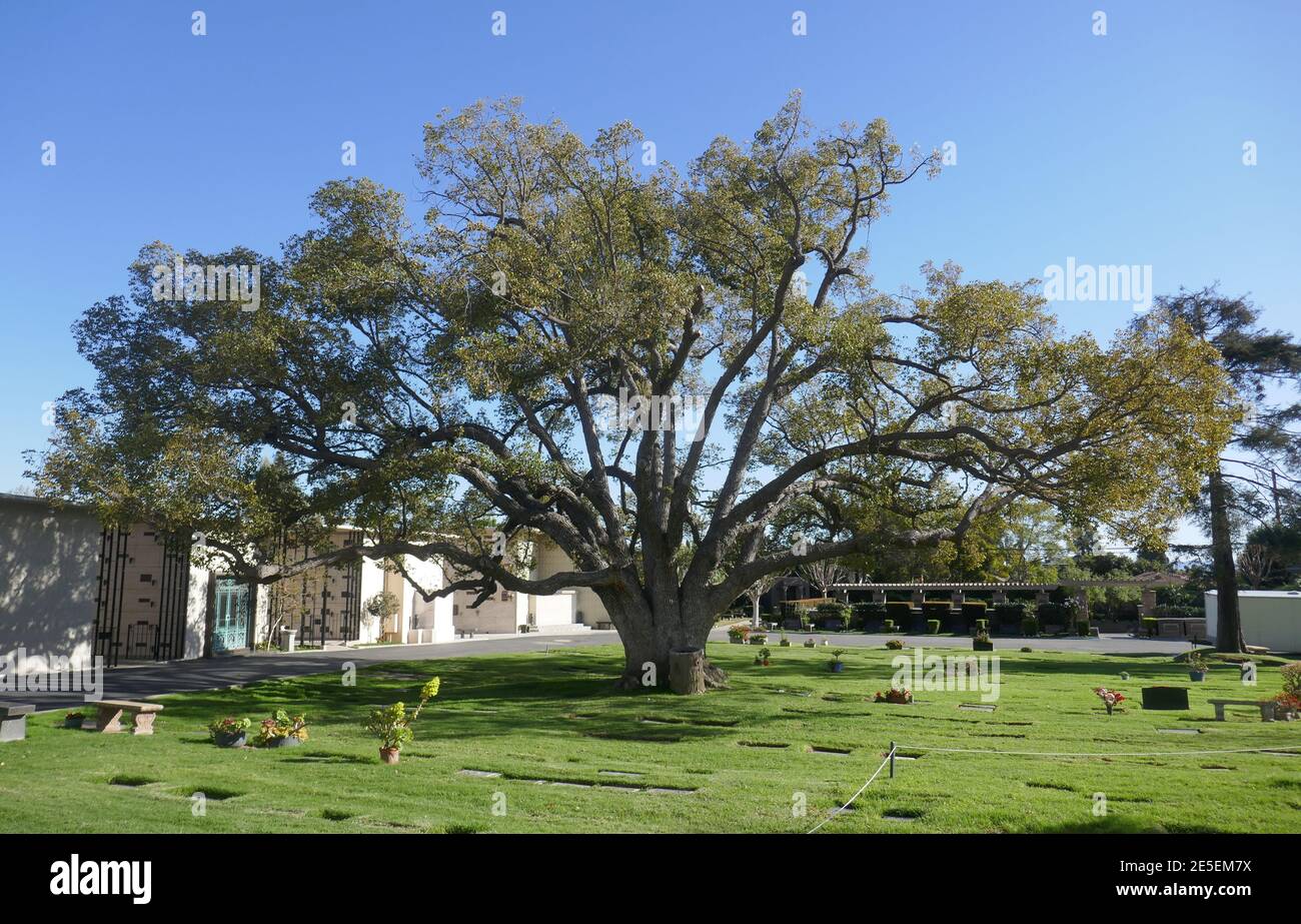 Los Angeles, California, USA 26th January 2021 A general view of ...