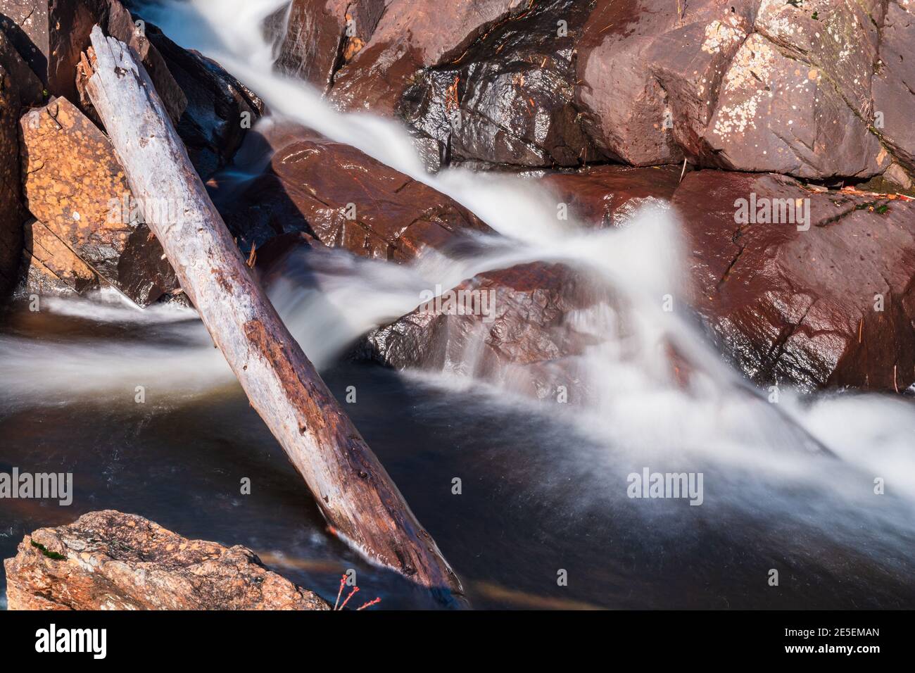 Muskoka forest hi-res stock photography and images - Alamy