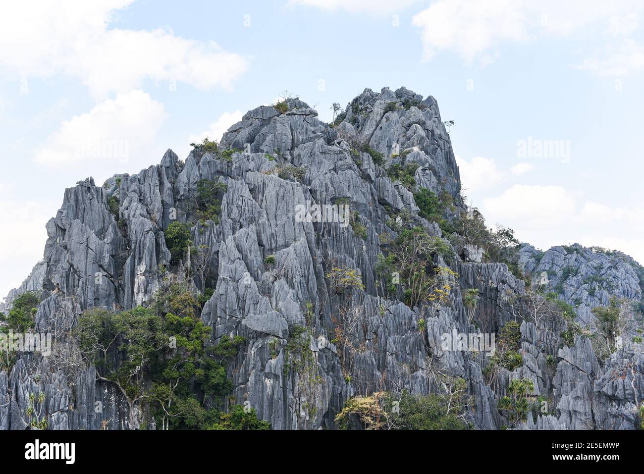 Rocky mountain at asian nature mountain stone with tree plant Stock ...