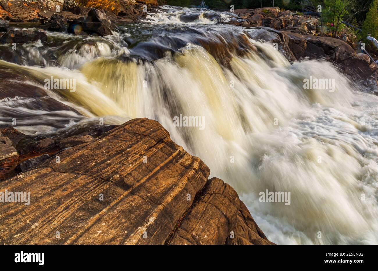 Muskoka forest hi-res stock photography and images - Alamy