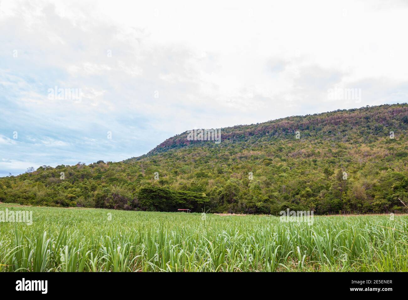 Landscape Valleys, mountains, scenery and agricultural plots Stock ...
