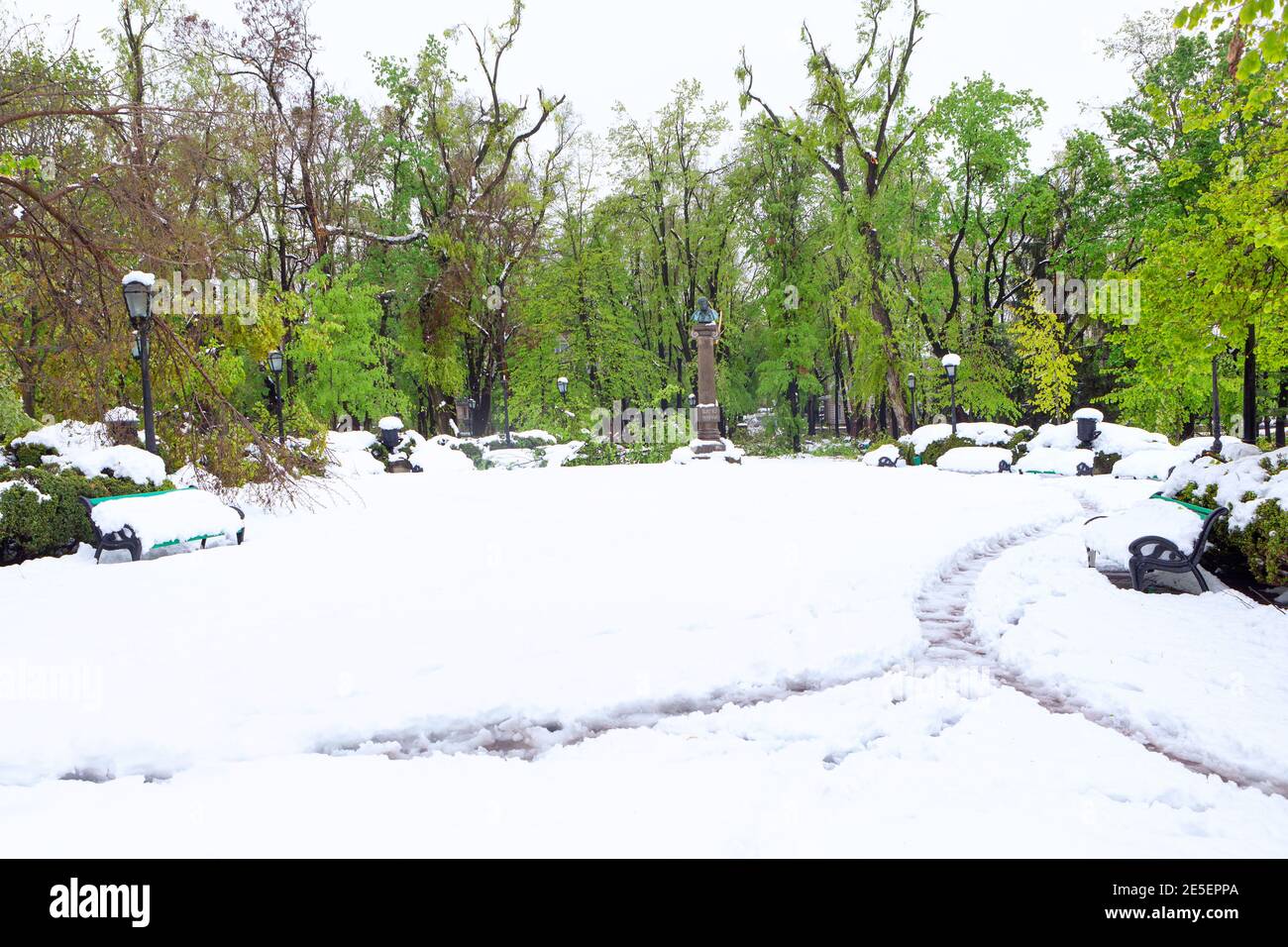 Winter landscape with a park after snowfall Stock Photo - Alamy