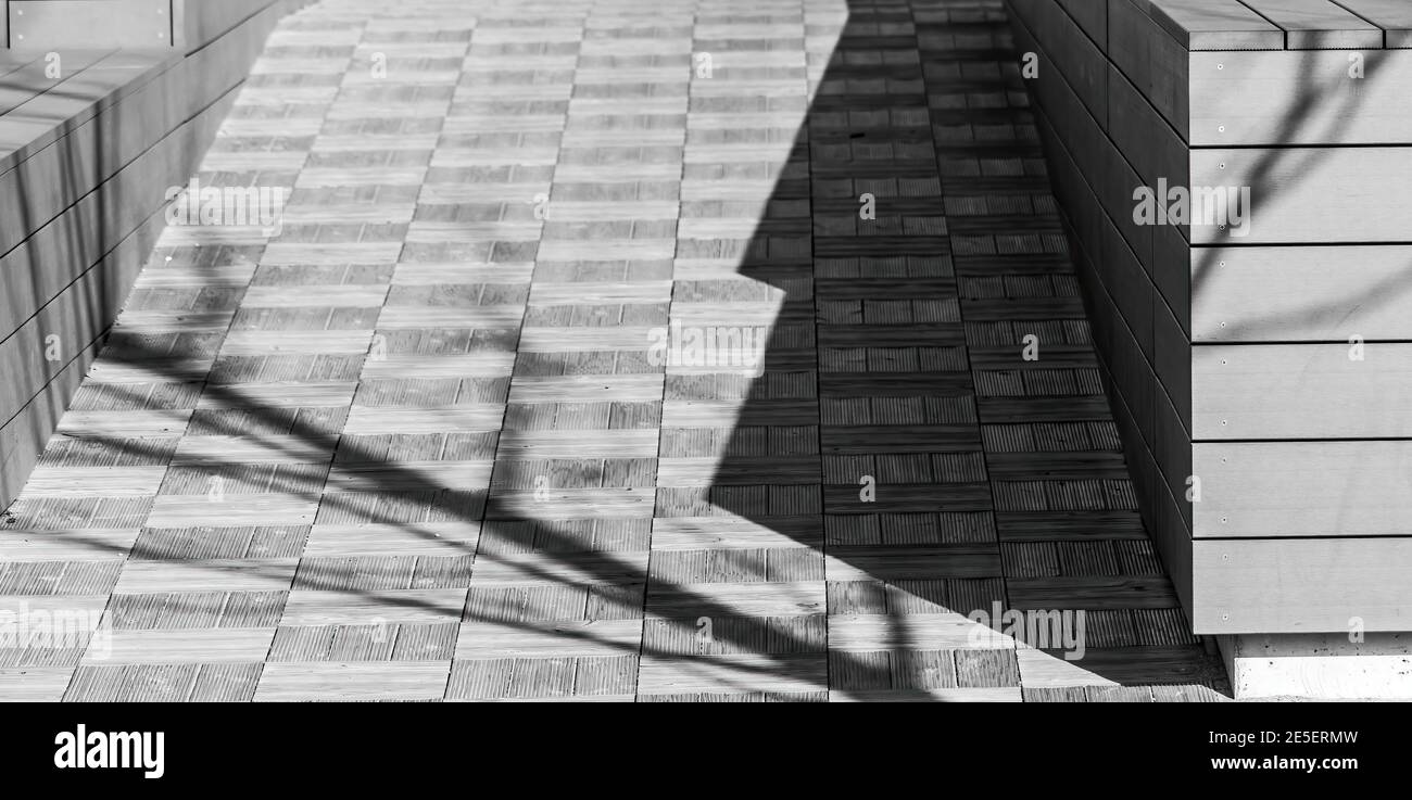 Shadow of a tree falls onto stone, tiled pavement, in a park in ...