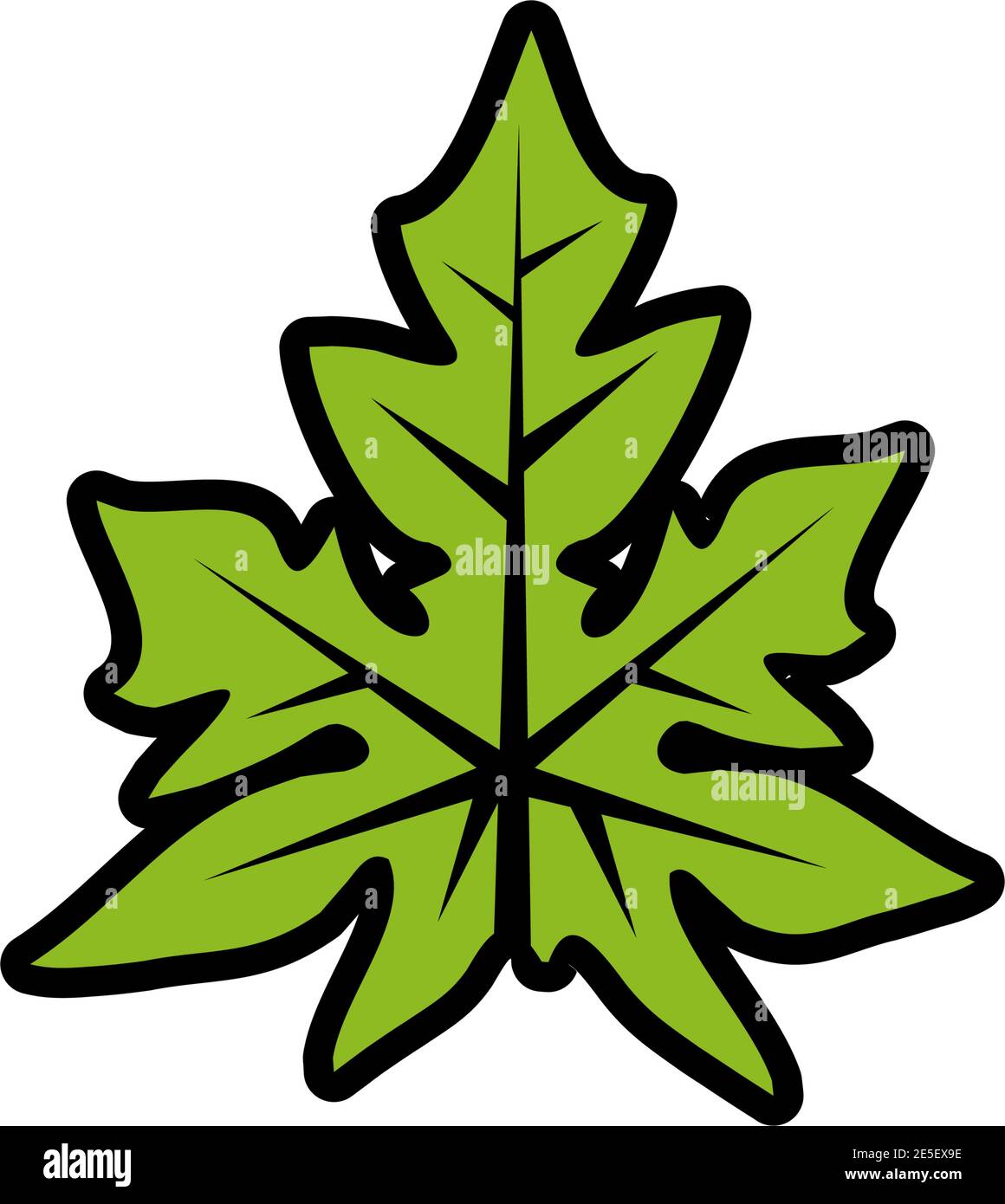 Papaya leaf logo design vector template Stock Vector Image & Art - Alamy