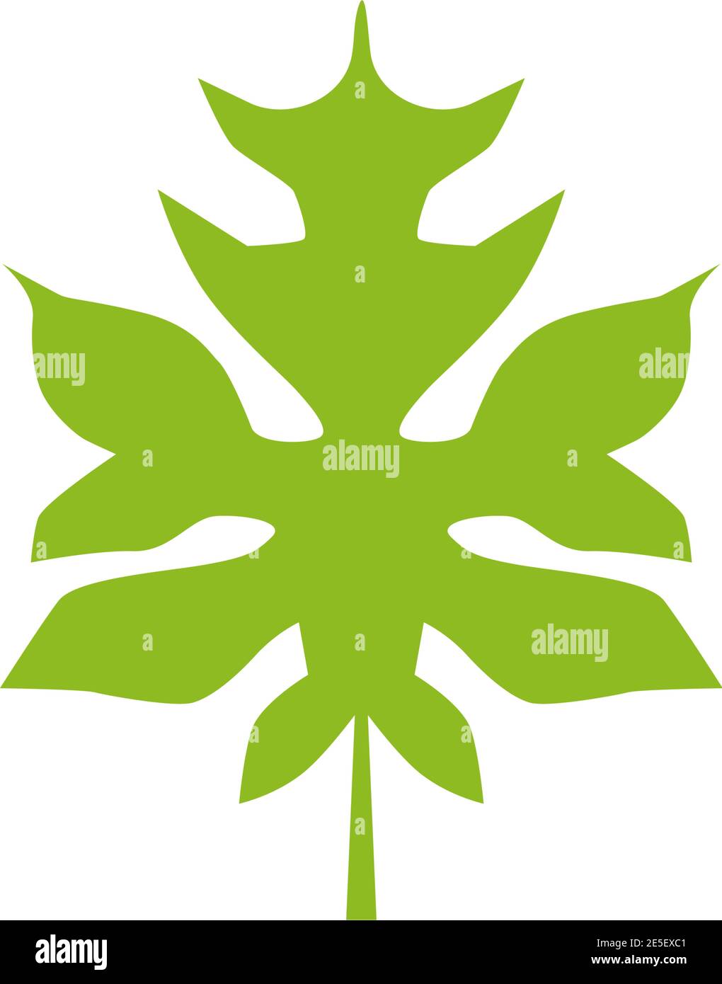 Papaya leaf logo design vector template Stock Vector Image & Art - Alamy