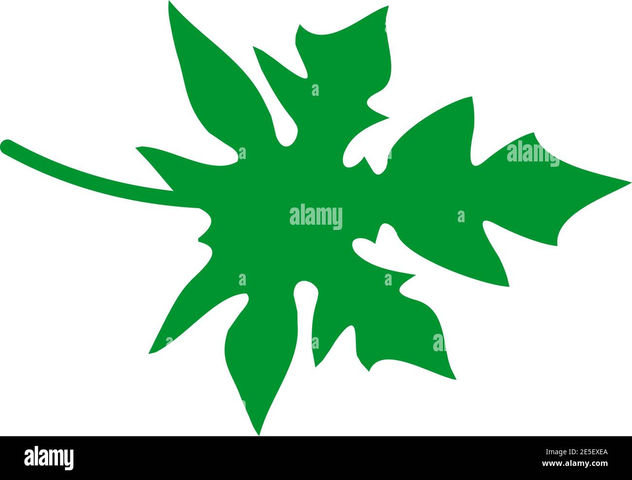 Papaya leaf logo design vector template Stock Vector Image & Art - Alamy