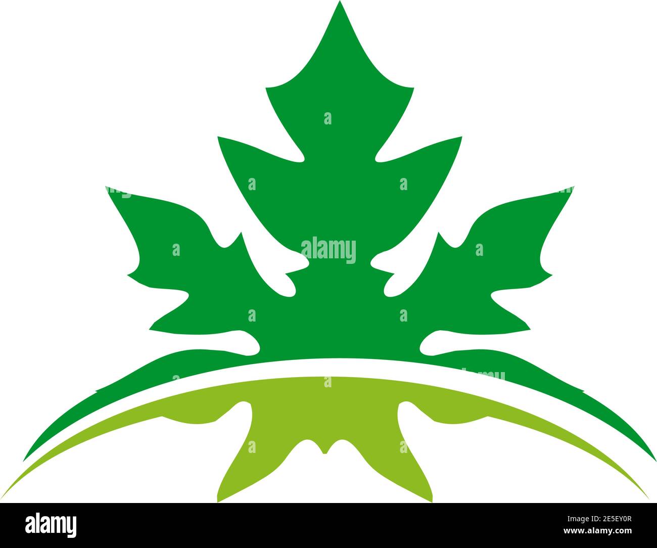 Papaya leaf logo design vector template Stock Vector Image & Art - Alamy