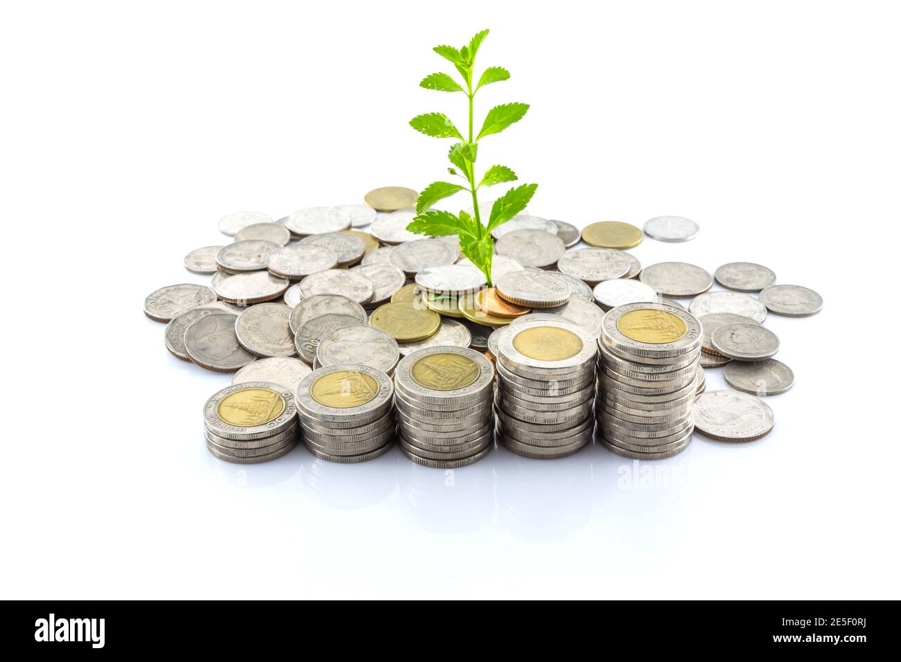 trees growing on coins , Money Stock Photo - Alamy