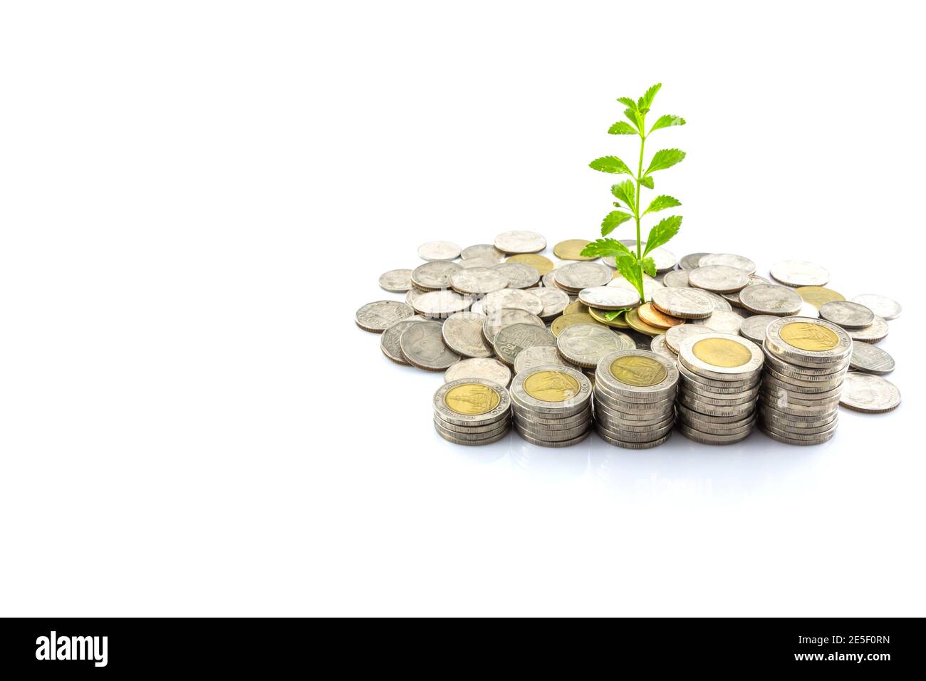 trees growing on coins , Money Stock Photo - Alamy