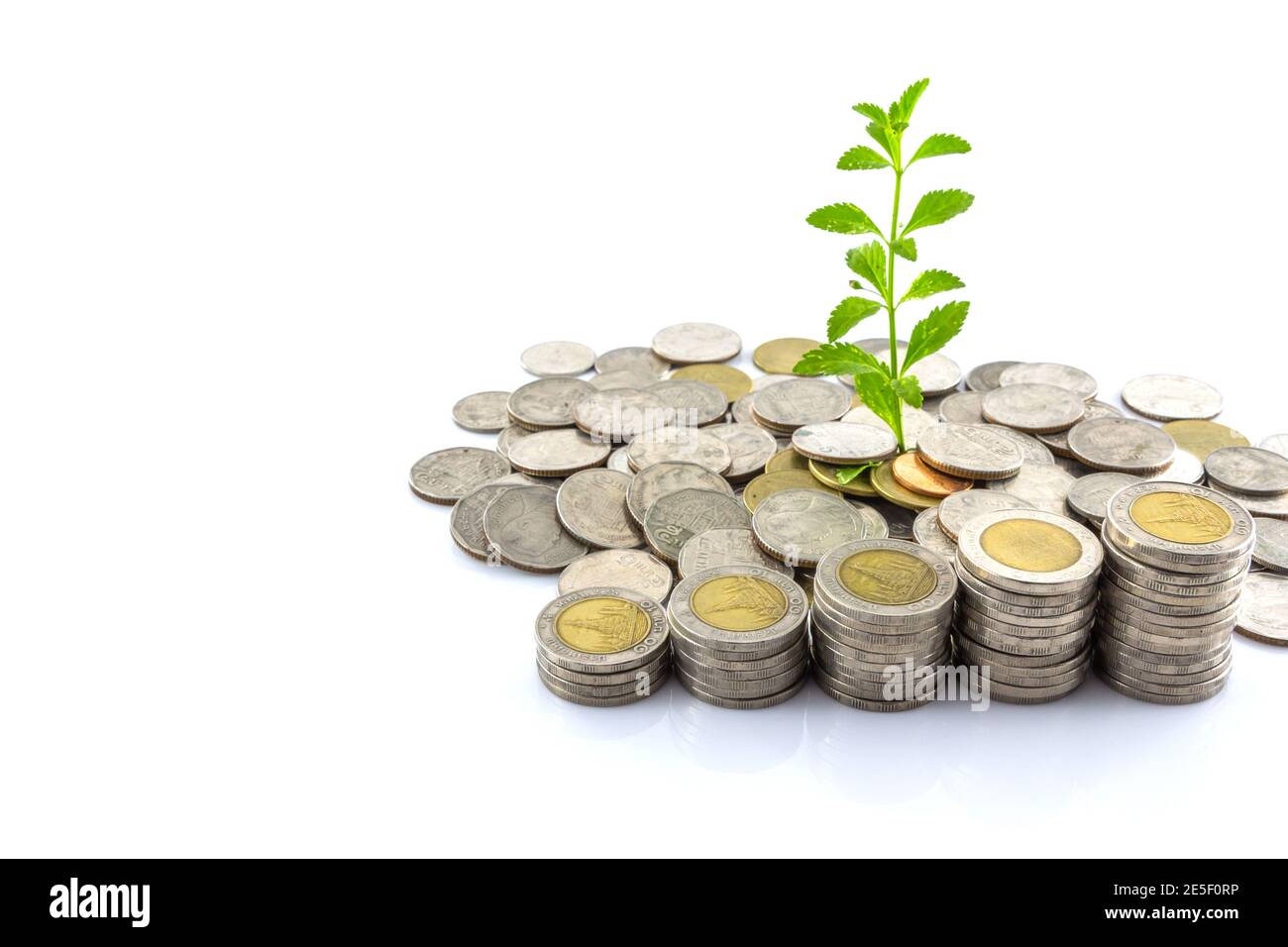 Growth graph trees hi-res stock photography and images - Alamy