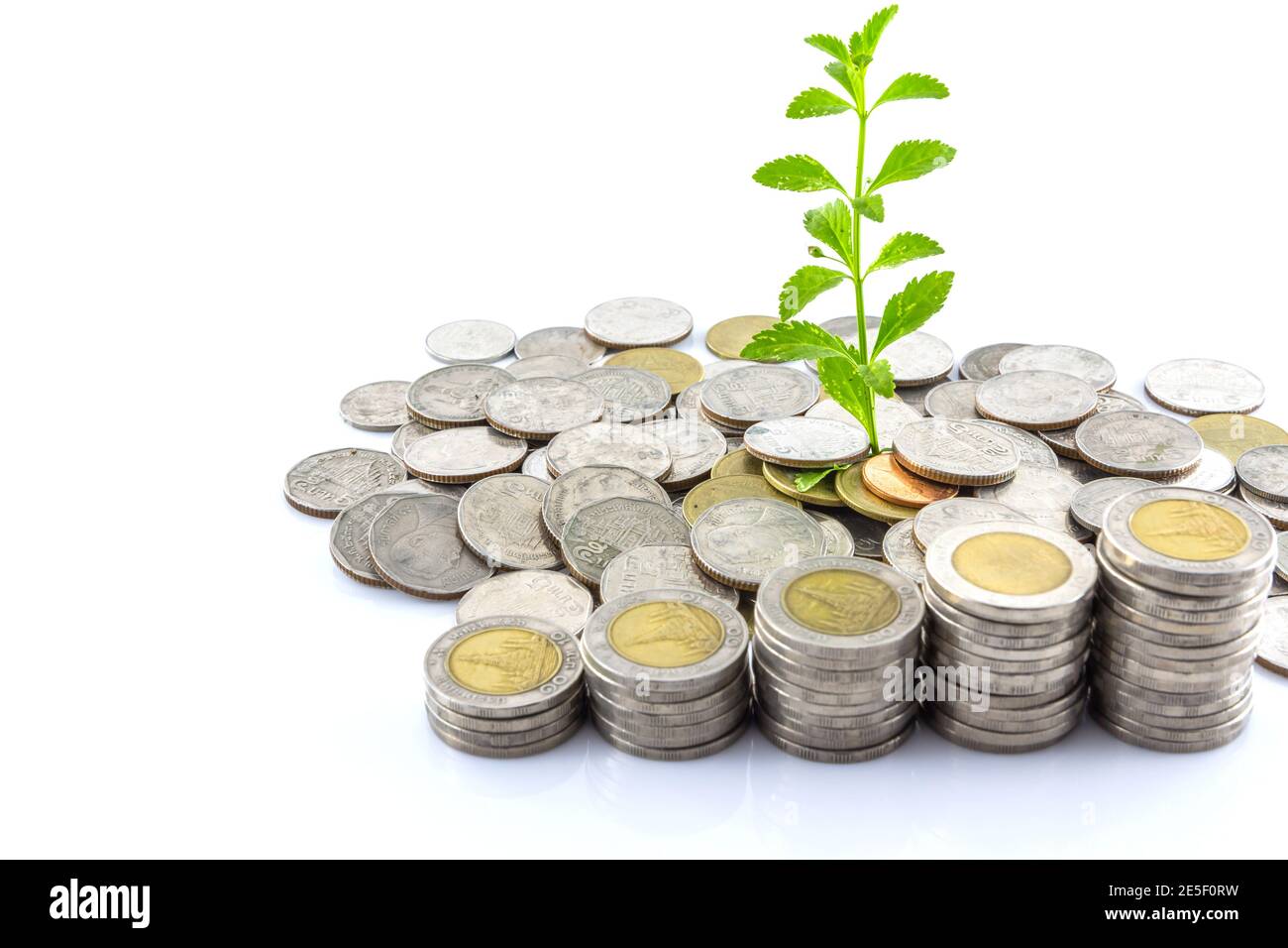 trees growing on coins , Money Stock Photo - Alamy