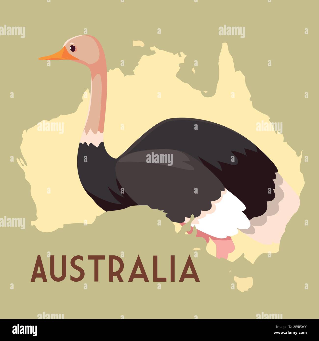 australian ostrich map animal wildlife vector illustration Stock Vector ...