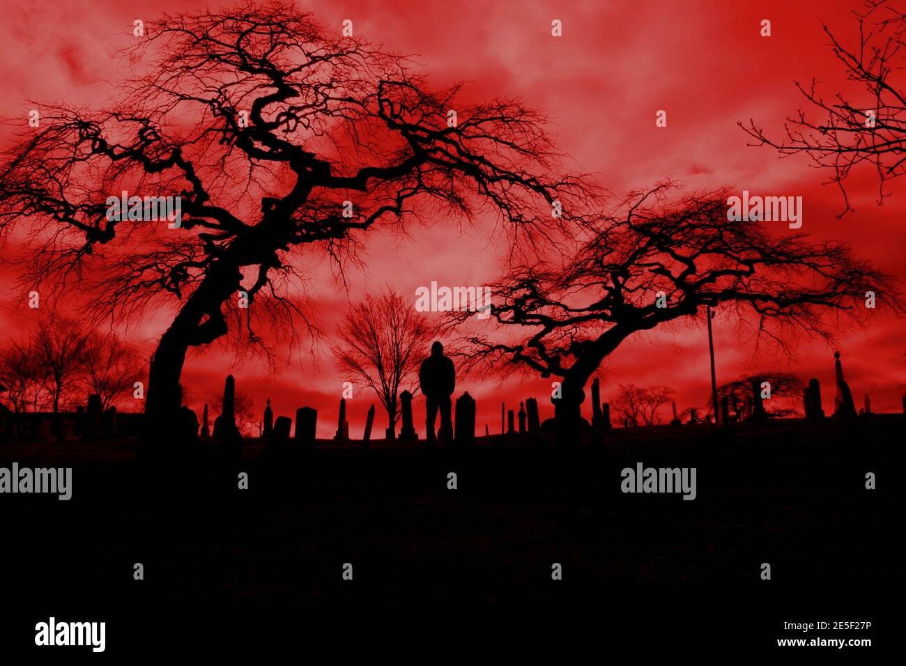 Scary pic of cemetery with hellfire sky and scary trees. Perfect for ...