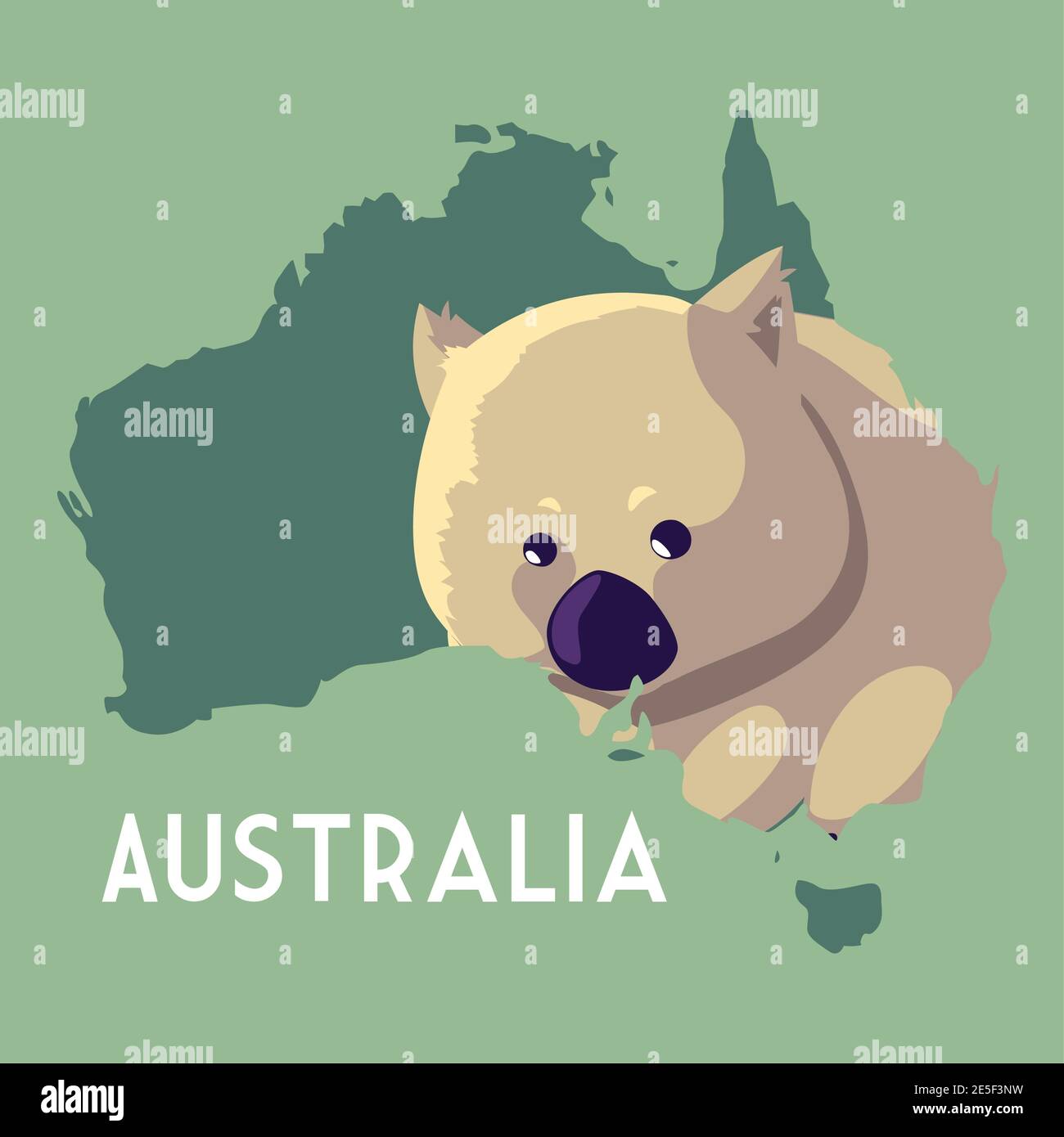 wombat australian continent map animal wildlife vector illustration ...