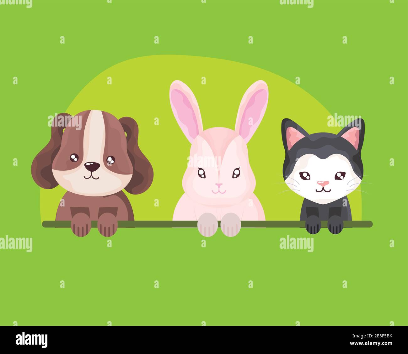 cartoon pets rabbit cat and dog domestic animals vector illustration ...